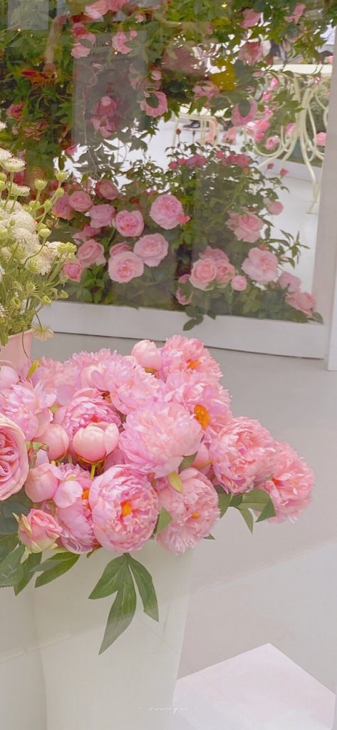 Tổng hợp 120+ Hình nền hoa đẹp nhất thế giới full HD