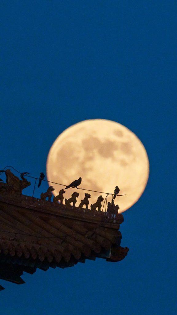 Tổng hợp 87+ Hình nền mặt trăng đẹp nhất cho điện thoại