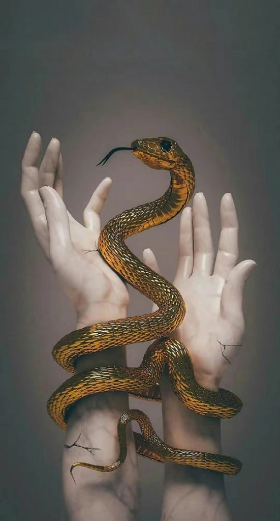 Top 88+ Hình nền con rắn biểu tưởng của sức khỏe, trí tuệ