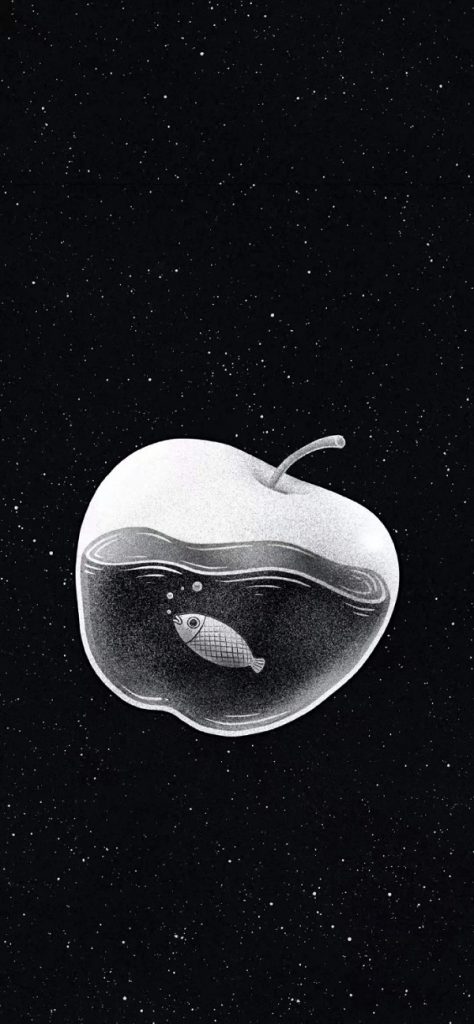 Tổng hợp 87+ Hình nền vô tri hài hước, độ ngáo cực mạnh