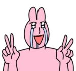 Tổng hợp 89+ Meme thỏ hồng tinh nghịch, dáng lầy lội khó đỡ