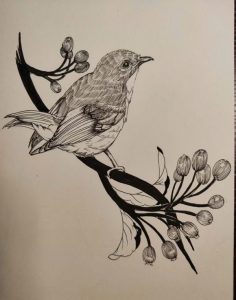 Tổng hợp 4 cách vẽ con chim dễ thương đẹp mê ly không lối về