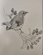 Tổng hợp 4 cách vẽ con chim dễ thương đẹp mê ly không lối về