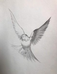 Tổng hợp 4 cách vẽ con chim dễ thương đẹp mê ly không lối về