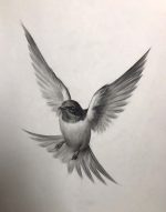 Tổng hợp 4 cách vẽ con chim dễ thương đẹp mê ly không lối về