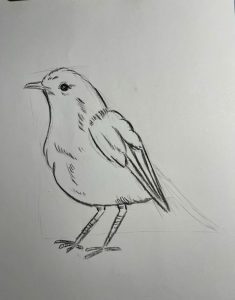 Tổng hợp 4 cách vẽ con chim dễ thương đẹp mê ly không lối về